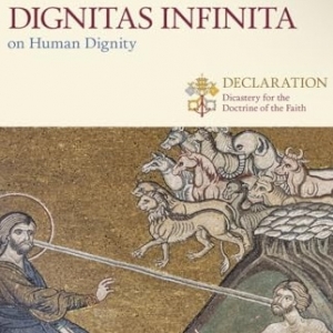 Some Grave Violations of Human Dignity According to "Dignitas Infinita" Bp Gerald John Mathias ...